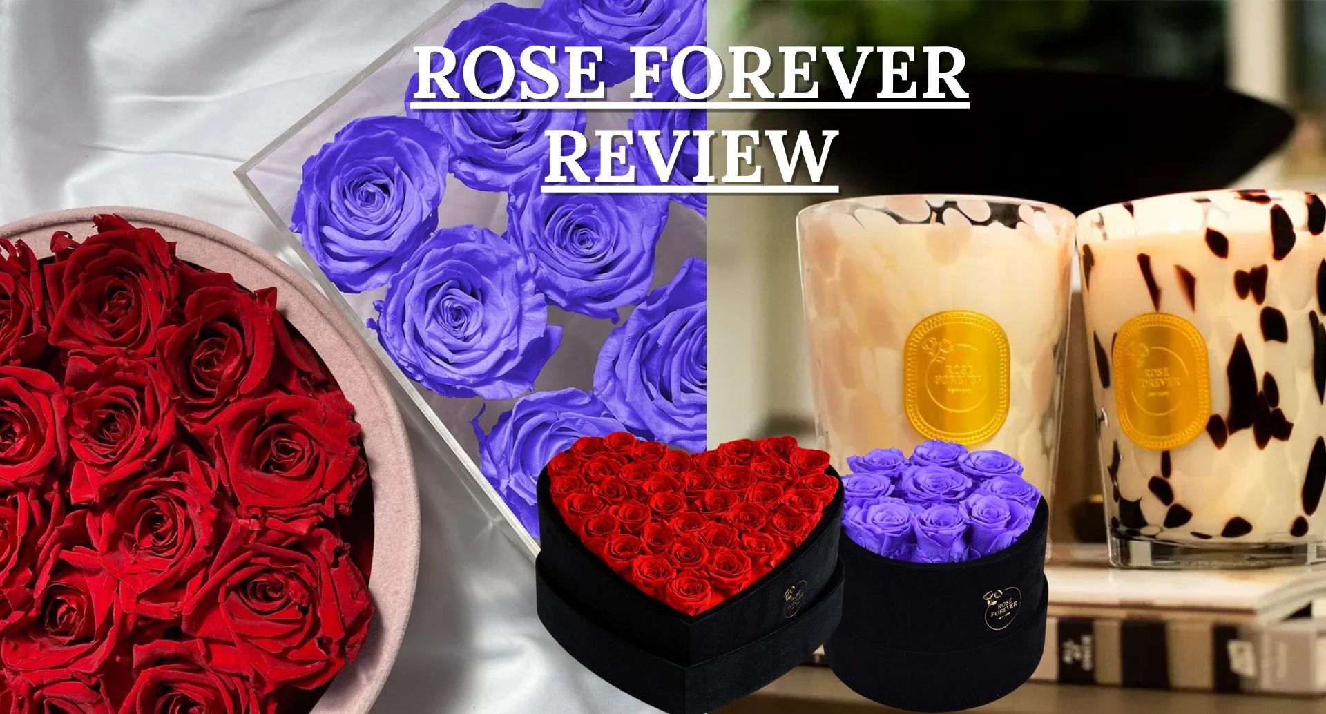 Rose Forever: The Luxury of Everlasting Roses in a Box