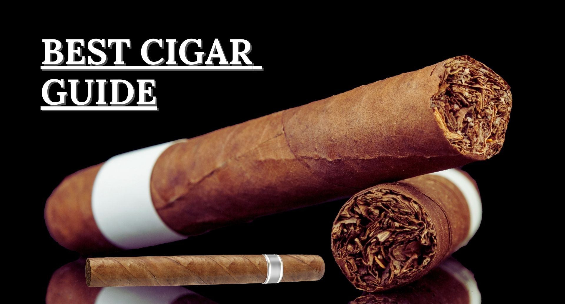Your Ultimate Guide to Best Cigar Prices: Premium Cigars, Humidors, and ...